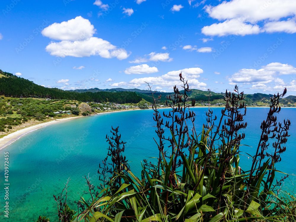 New Zealand Beach with Harakeke Flax in the Foreground Stock-Foto ...