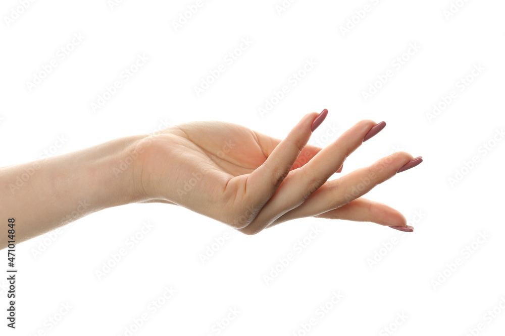Beautiful female hand isolated on white background Stock Photo | Adobe ...