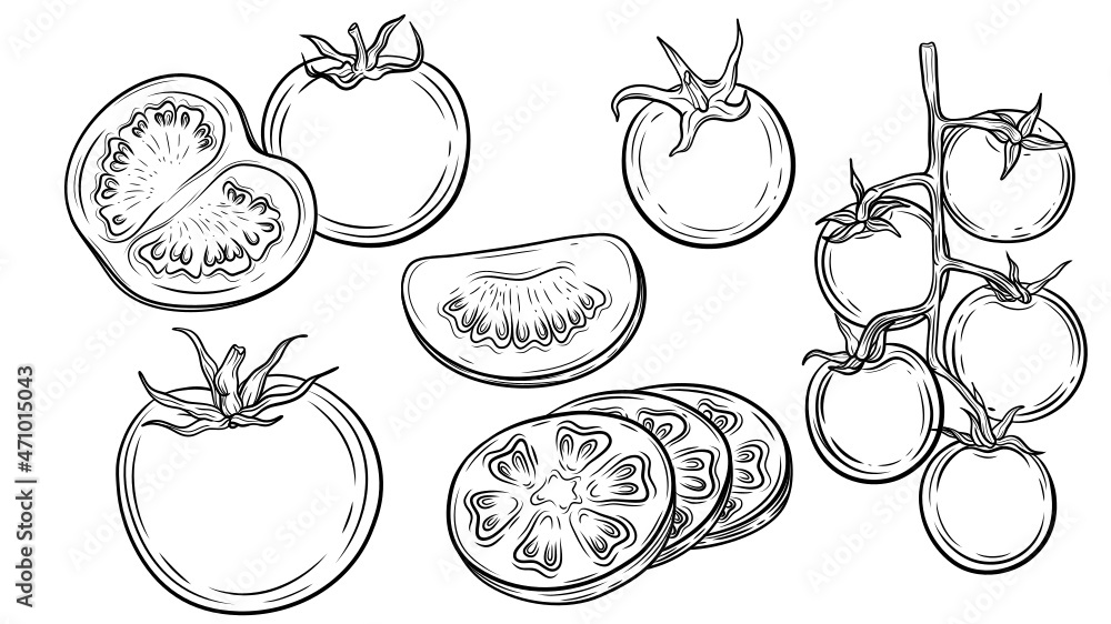 Tomato Line Art