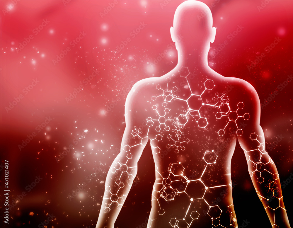 2d illustration Human Male Muscle Body Stock Illustration | Adobe Stock