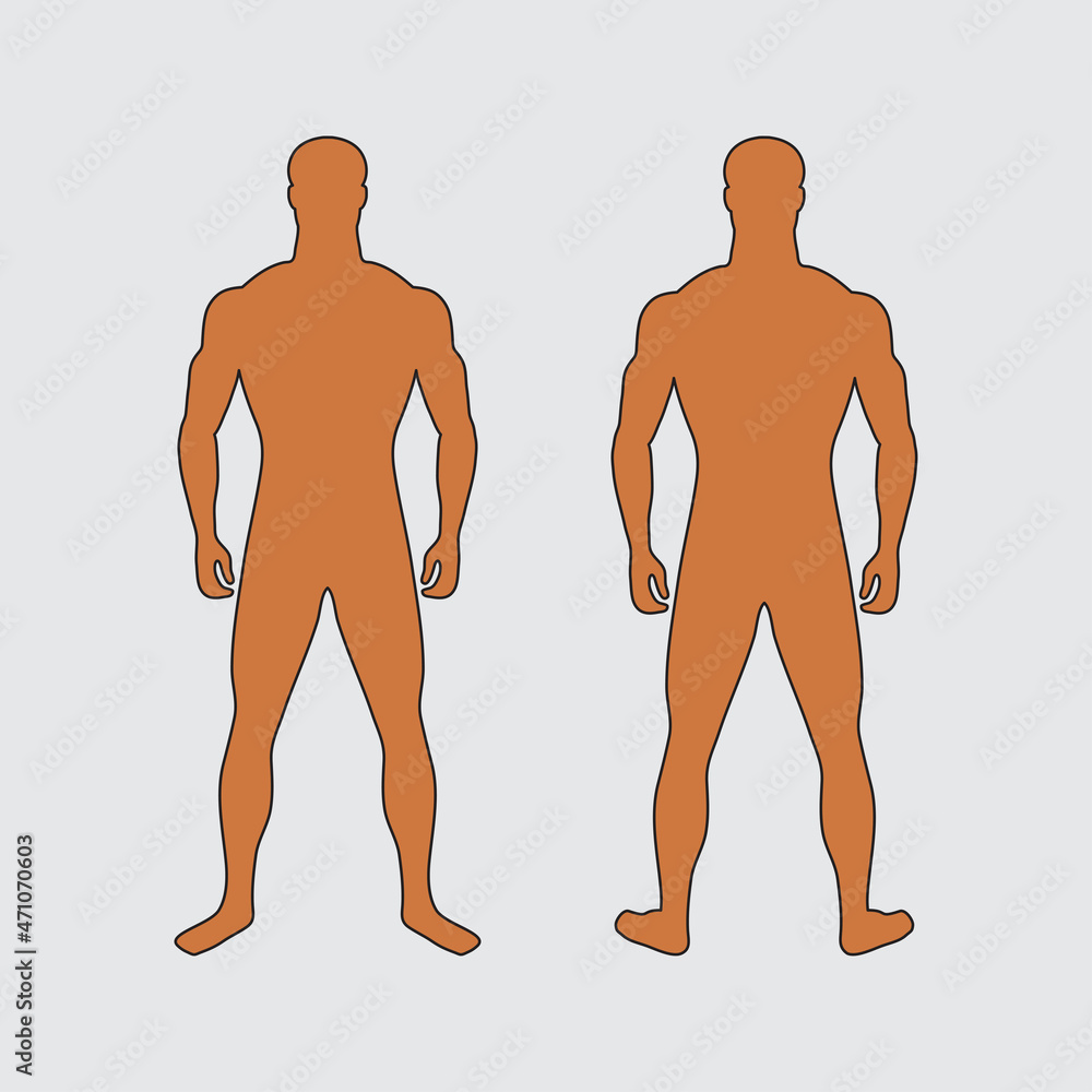 Adult man front view and back view. Human silhouette. Standard male ...
