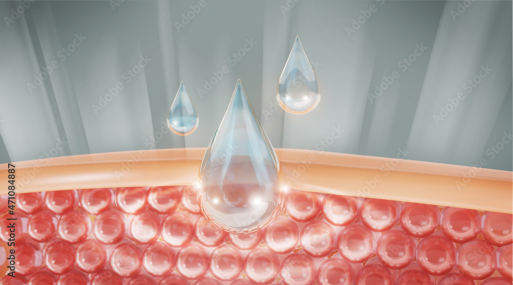 Water and vitamin drop on skin cell. serum through the skin layer and ...