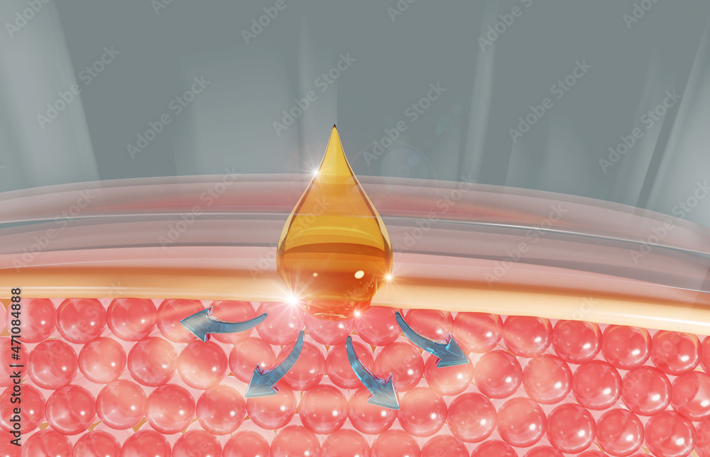 Water and vitamin drop on skin cell. serum through the skin layer and ...