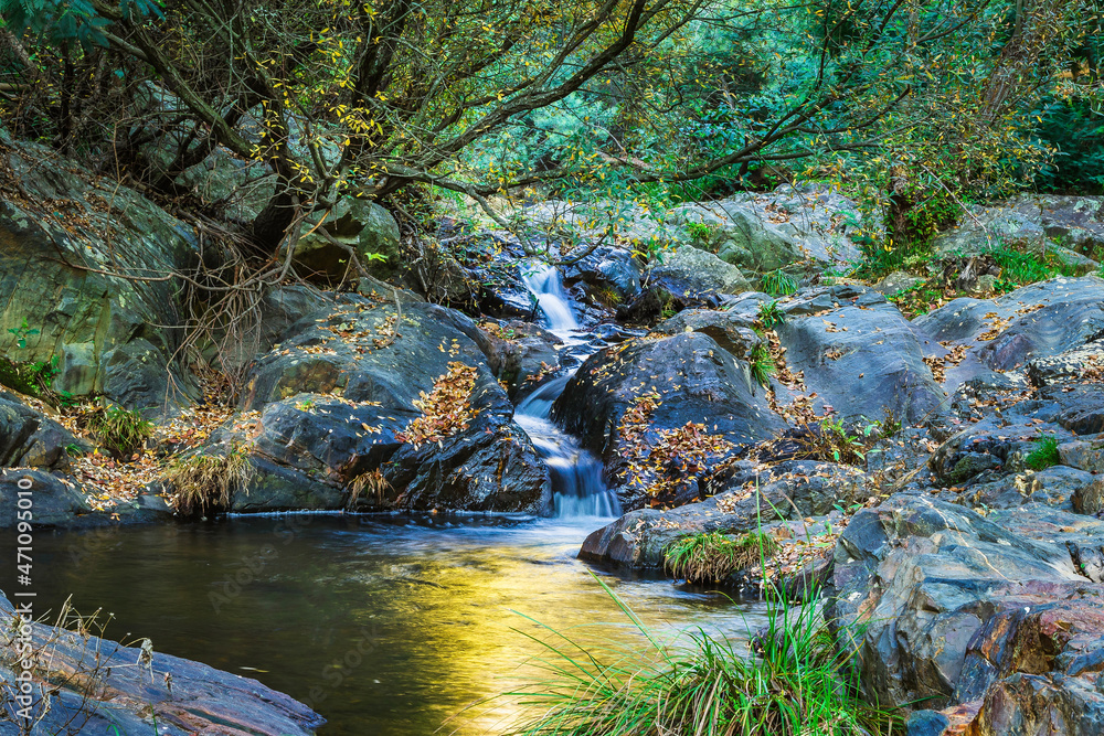 Forest background with river in the portuguese park of Penedo Furado ...