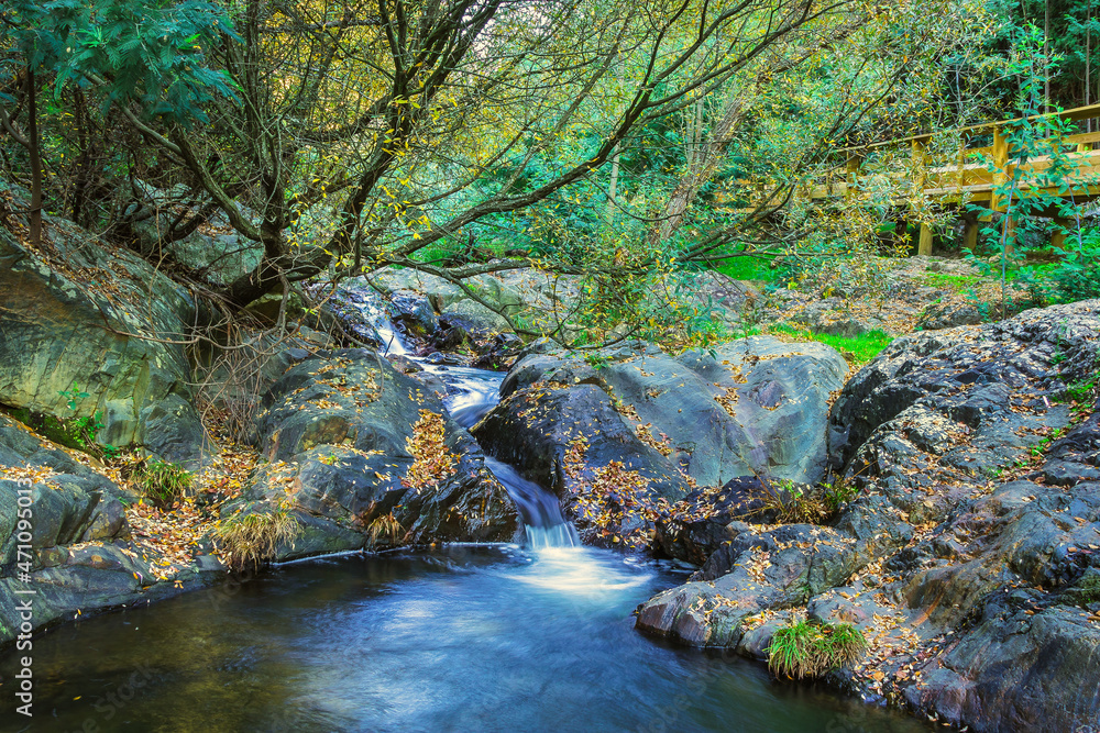 Forest background with river in the portuguese park of Penedo Furado ...