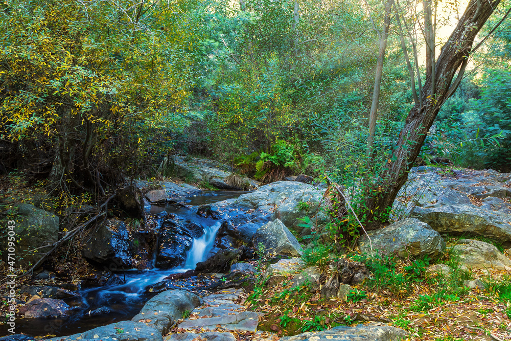Forest background with river in the portuguese park of Penedo Furado ...