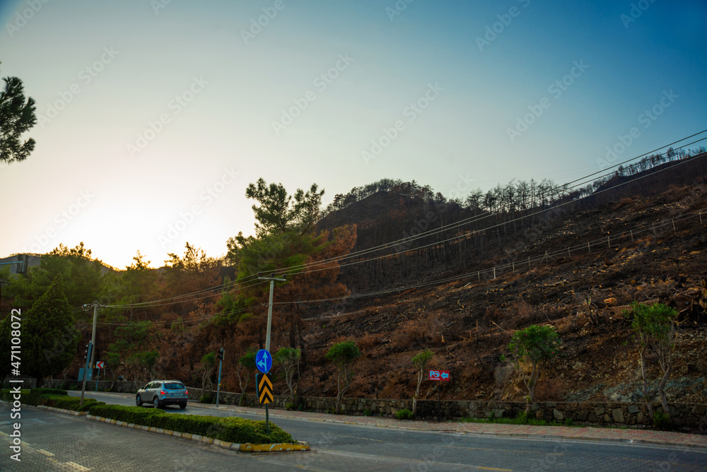 Foto de ICMELER, MARMARIS,TURKEY: The consequences of a fire in 2021 in ...