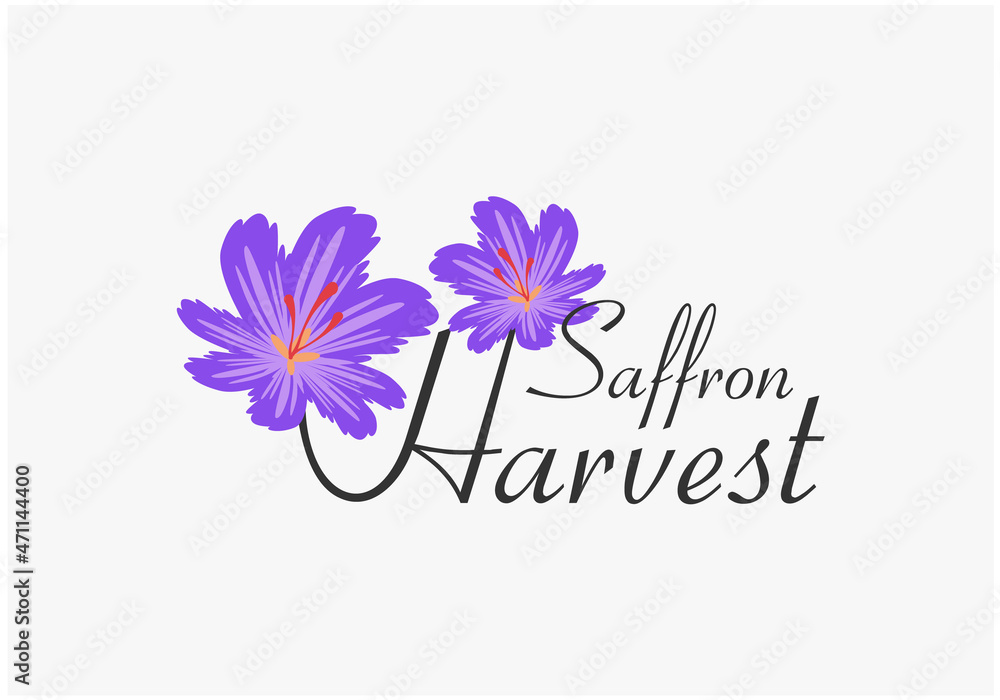 saffron harvest logo design inspirations Stock Vector | Adobe Stock