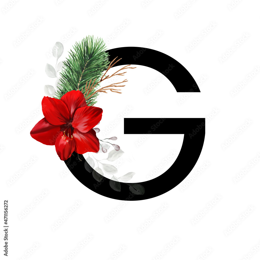 Capital letter G decorated with red amaryllis flower and pine twig ...