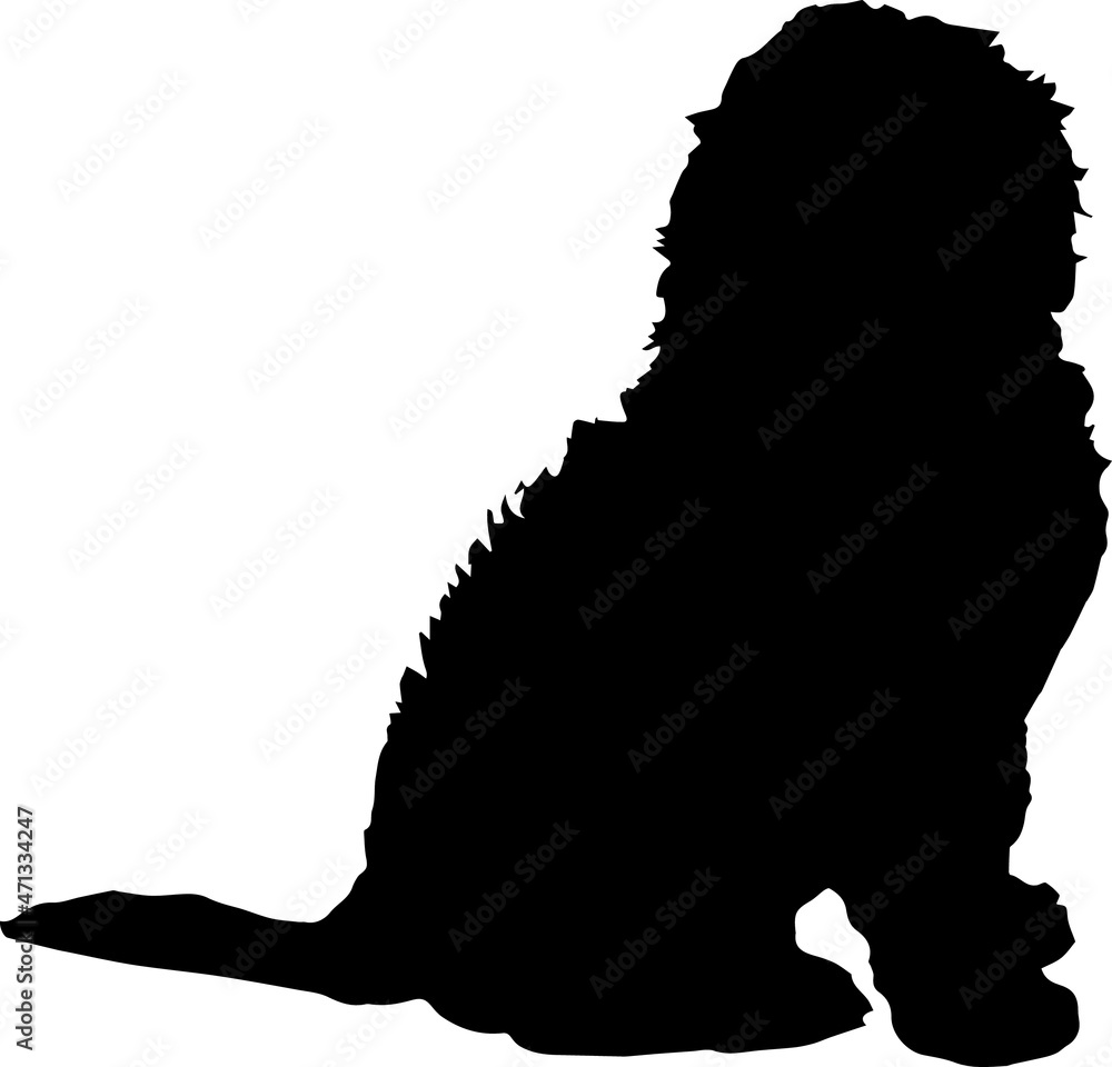 Cockapoo Silhouettes SVG Cocker Spaniel SVG Stock Vector | Adobe Stock