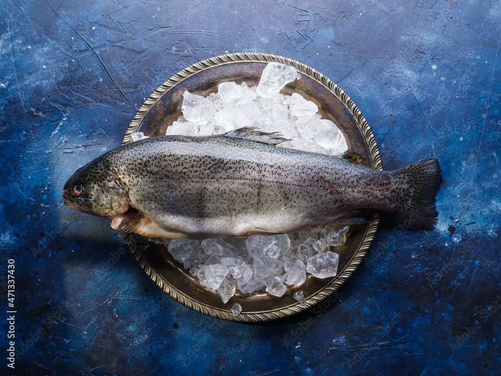 One fresh fish on ice cubes. Dark blue background. Minimalism. There ...