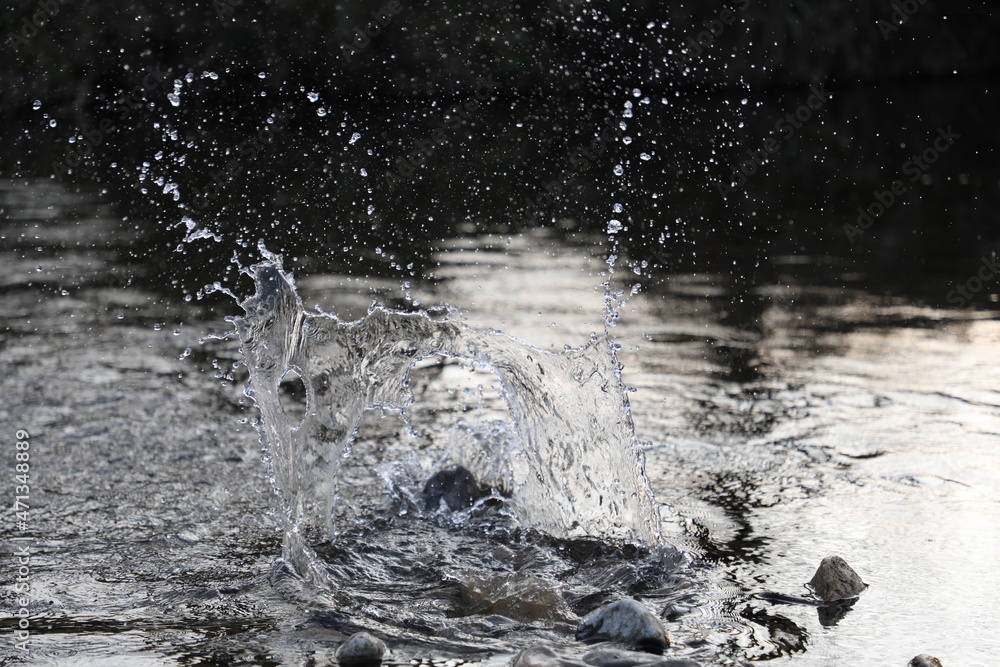 water splash in the lake Stock Photo | Adobe Stock