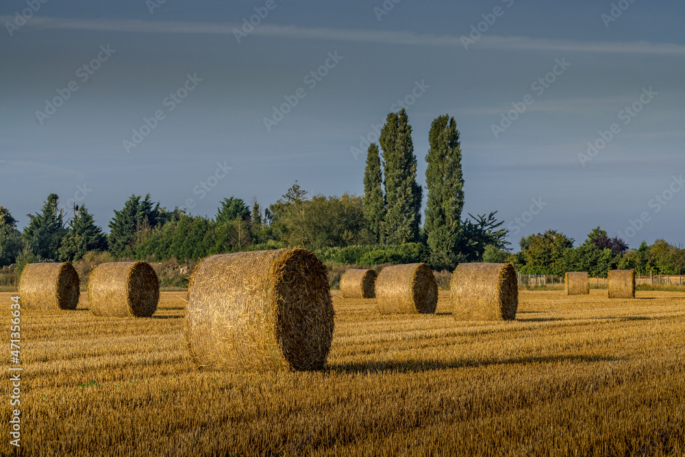 Paysage campagne 1151 Stock Photo | Adobe Stock