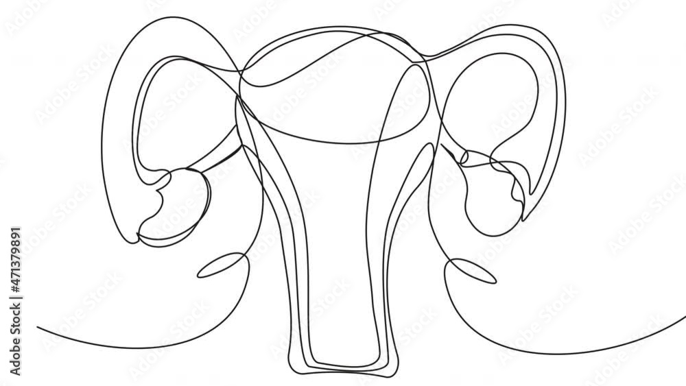 Self-drawing of a female uterus in one line on a white back. Concept of ...