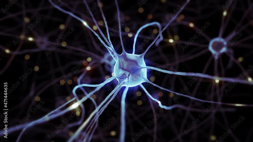 Human nervous system with huge amount pulsing nerve cells. Each cell is ...