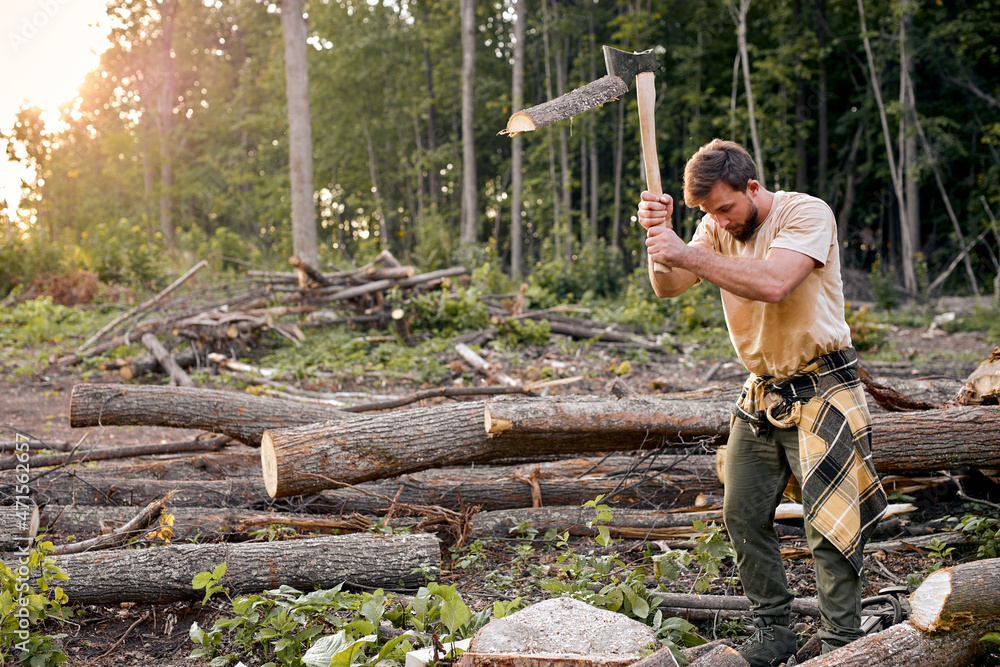 Split and cut. hardworking young male using Large axe. Splitting axe on ...