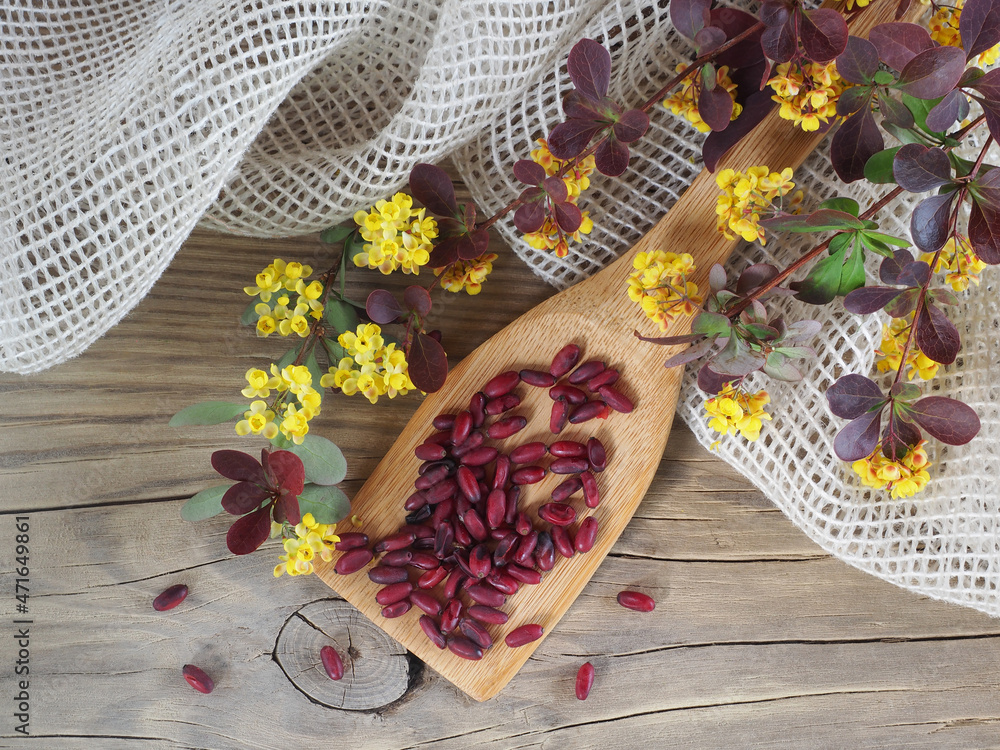 Red barberry berries in a wooden spoon and sprigs with yellow flowers ...