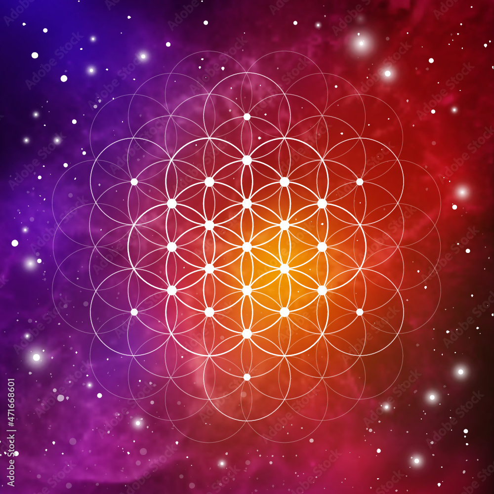 Sacred geometry tree of life ancient symbol vector illustration with ...