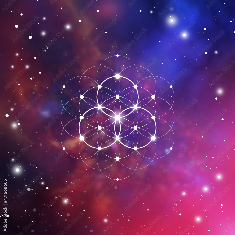 Sacred geometry tree of life ancient symbol vector illustration with ...