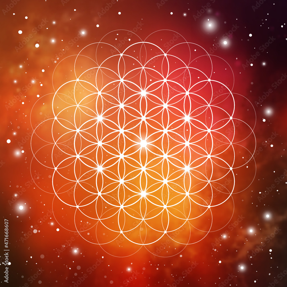 Sacred geometry tree of life ancient symbol vector illustration with ...