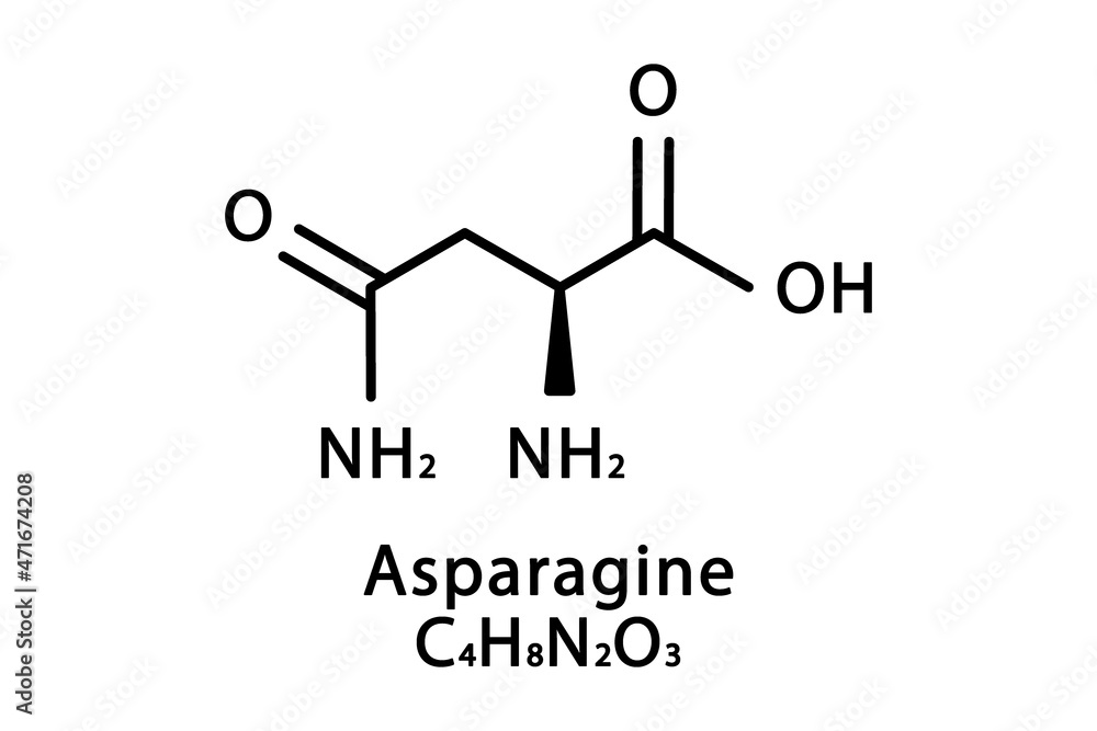 Asparagine molecular structure. Asparagine skeletal chemical formula ...