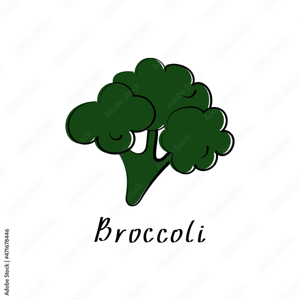 Broccoli flat illustration. Vegetable cabbage sign. Vector hand drawn ...