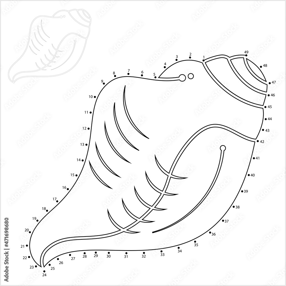 Conch Icon Dot To Dot Y_2111001 Stock Vector | Adobe Stock
