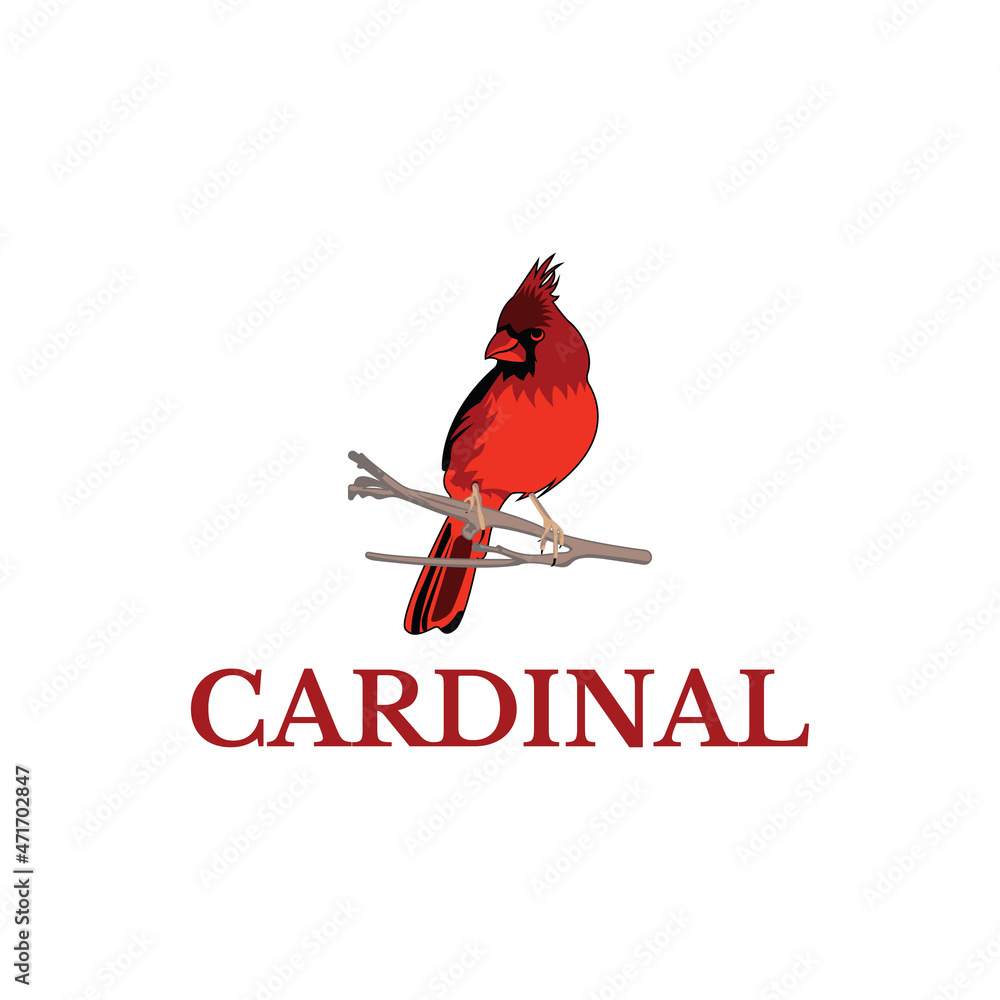 Cardinal bird logo vector, Perfect to use for any business related to ...