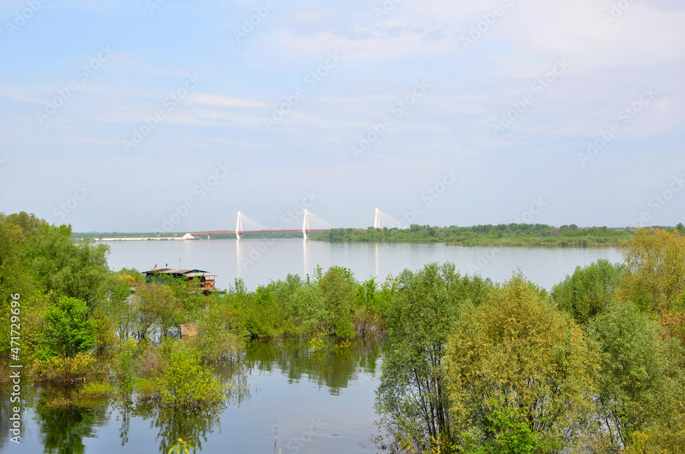 Overflow of the Oka River. Flooded trees on the Oka. Russia Stock Photo ...