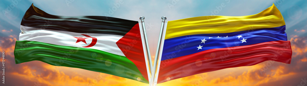 Western Sahara flag and Venezuela Flag waving with texture sky Cloud ...