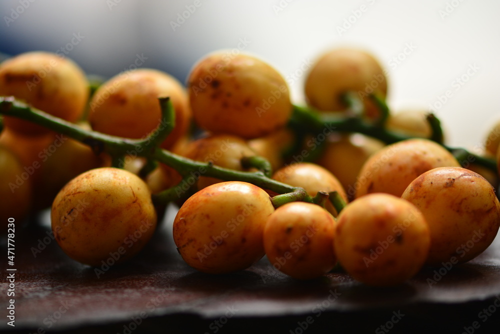 Baccaurea racemosa, common names kapundung or menteng is a species of ...
