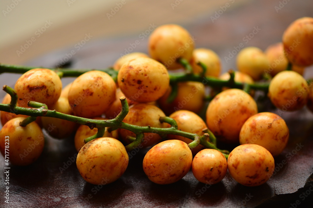 Baccaurea racemosa, common names kapundung or menteng is a species of ...