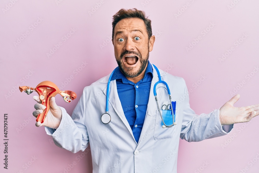 Middle age gynecologist man holding anatomical model of female genital ...