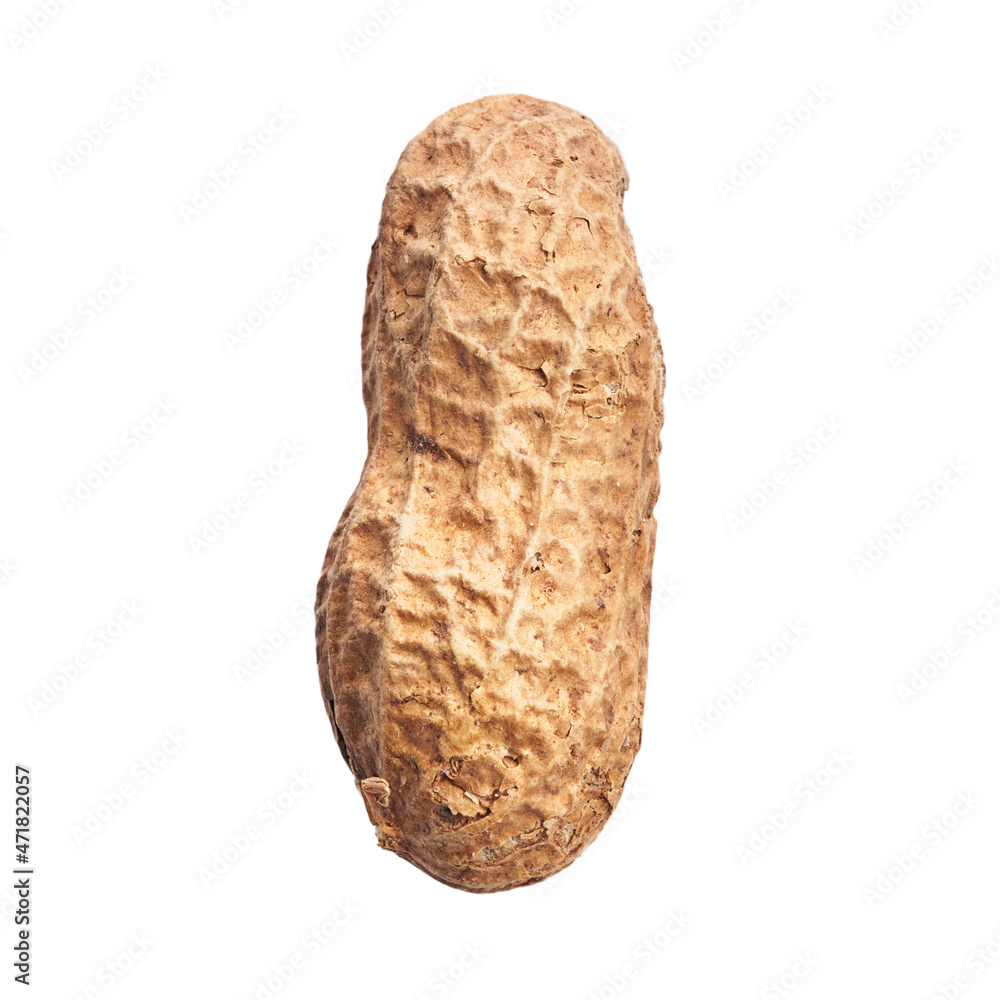 Single Groundnut