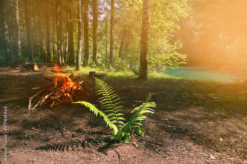 Foto de A bonfire is burning on the river bank in the forest next to a ...