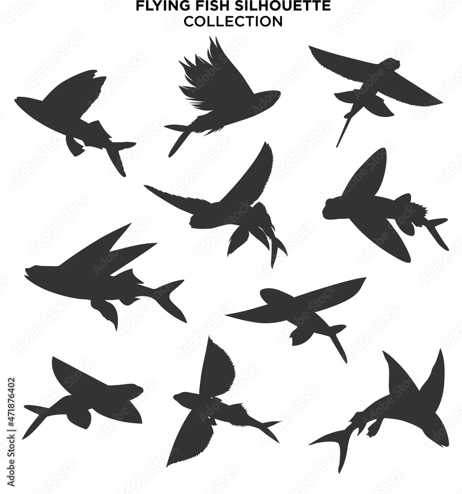 flying fish silhouette vector Stock Vector | Adobe Stock