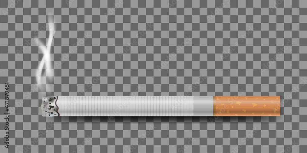 Realistic cigarette and smoke on transparent background, vector ...