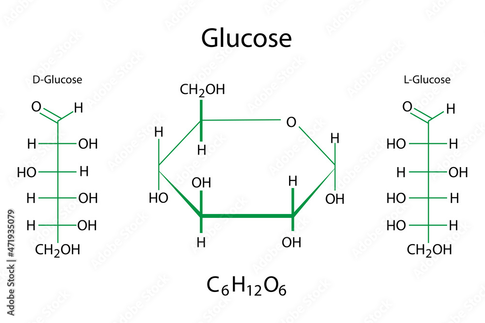Organic Compound Structure