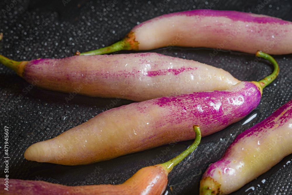 Chiles exóticos con manchas moradas del bosque del Perú Stock 写真 ...