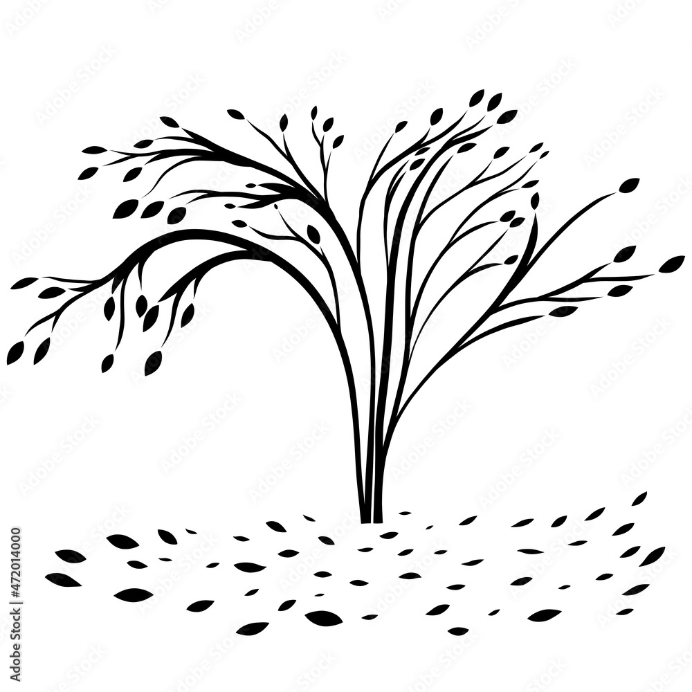 autumn tree with falling leaves, black silhouette on a white background ...