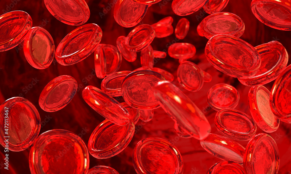 Red blood cells passing through the inside of a vein. Interior of the ...