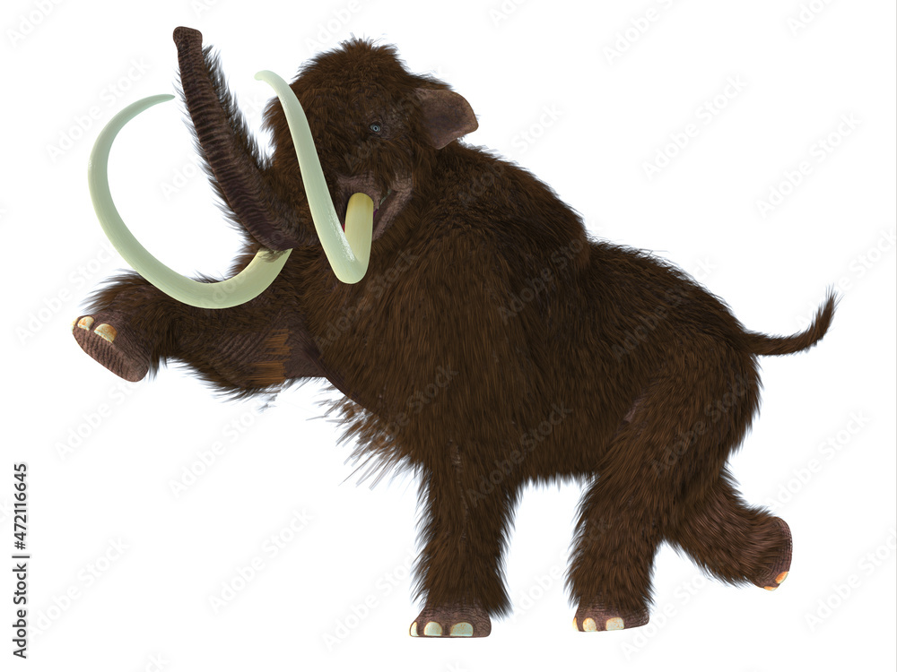 Ice Age Woolly Mammoth Male - The Woolly Mammoth was a herbivorous ...