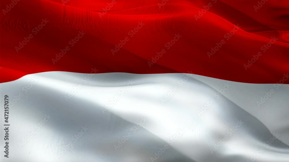 Monaco flag. 3d Monaco sign waving video. Flag of Monaco seamless loop ...