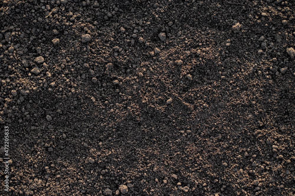 Fertile loam soil suitable for planting, soil texture background. Stock ...