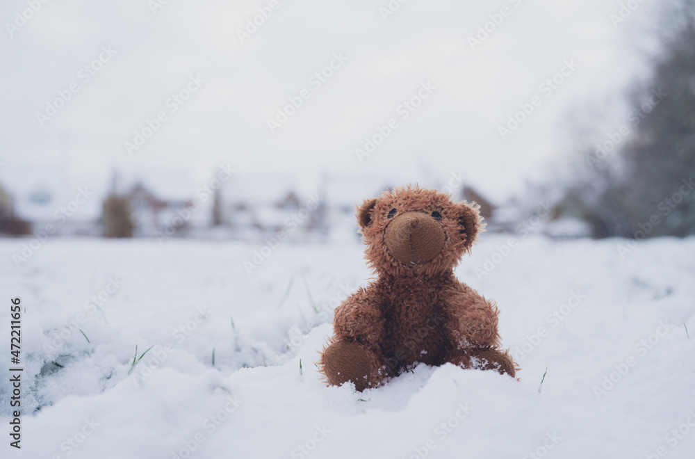 Lost Teddy bear with sad face lying on snow with blurry house,Lonely ...