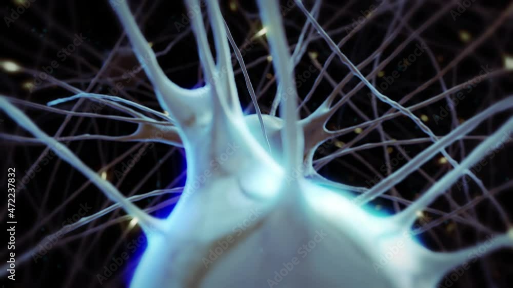 Flying through the human nervous system close to pulsing nerve cells ...