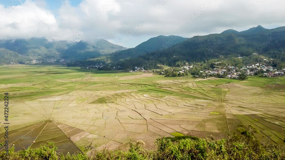 The colorful rice paddies forming a giant spider web in Ruteng, on ...