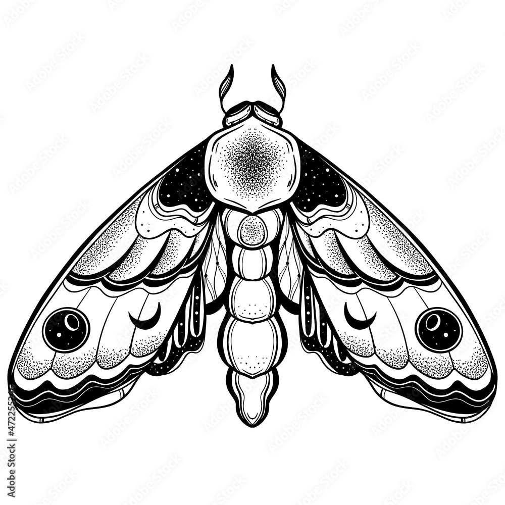 Butterfly sketch. Detailed realistic sketch of a moth Stock Vector ...