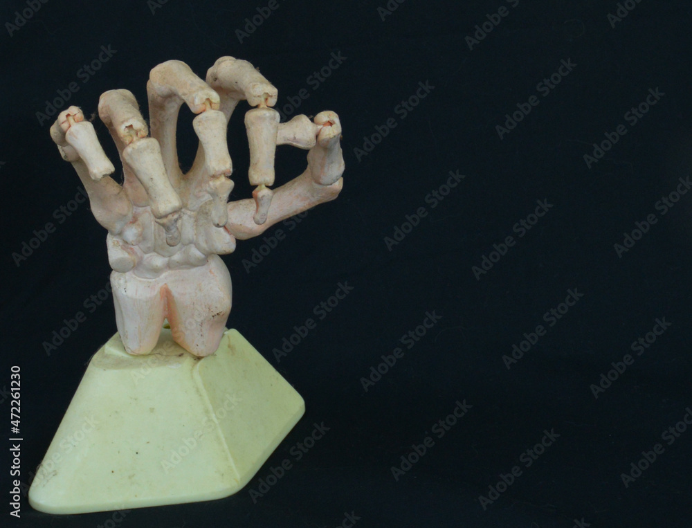Accurate Skeleton Hand Model with Black Background and Copyspace ...