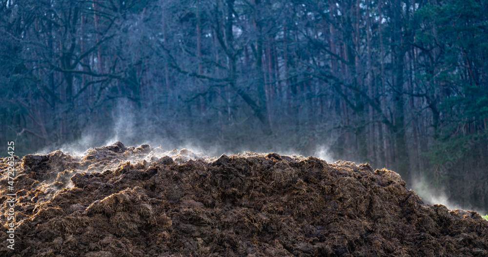 A pile of cow dung as a symbol of methane pollution of the atmosphere ...